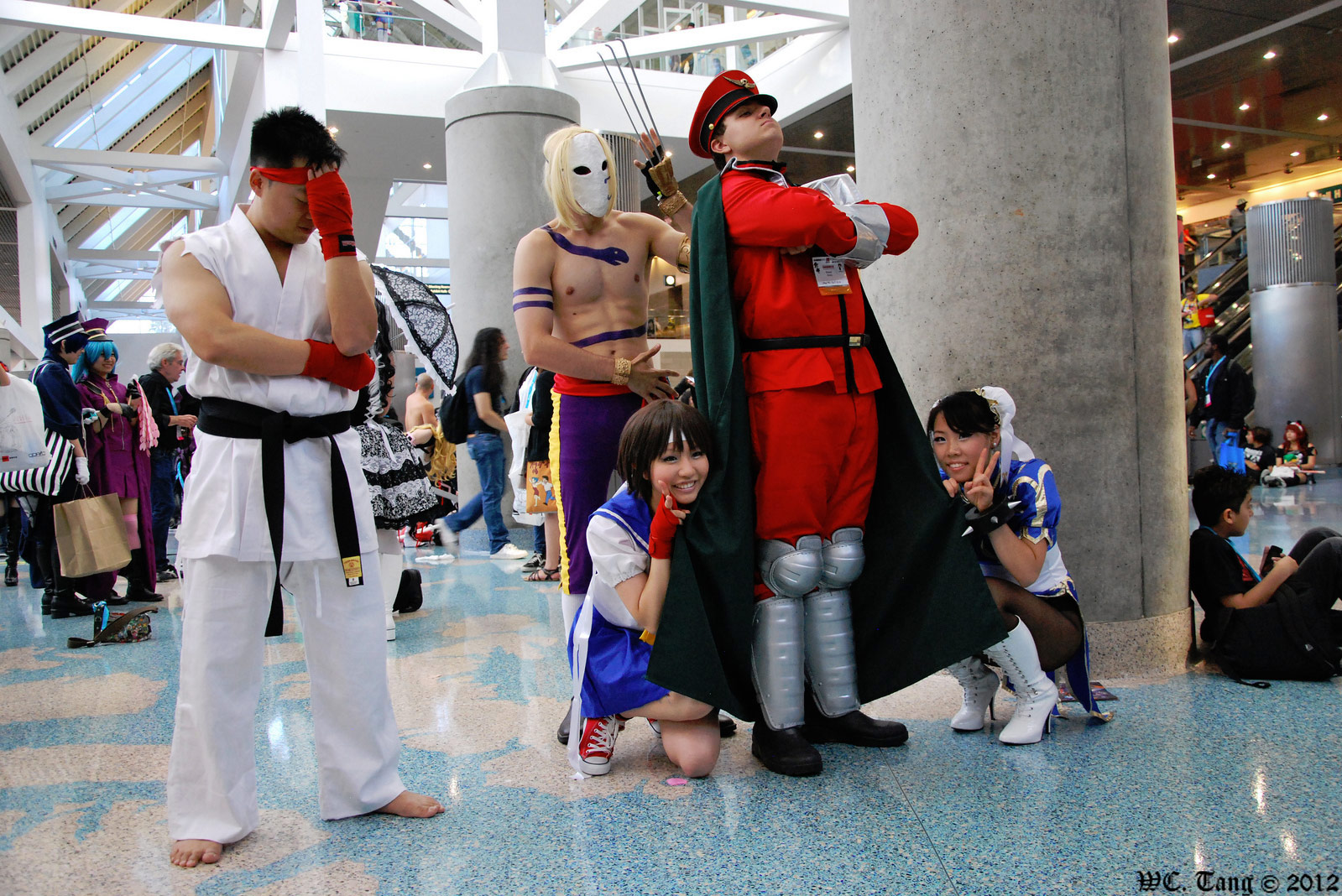 Fighting game cosplay gallery image #6