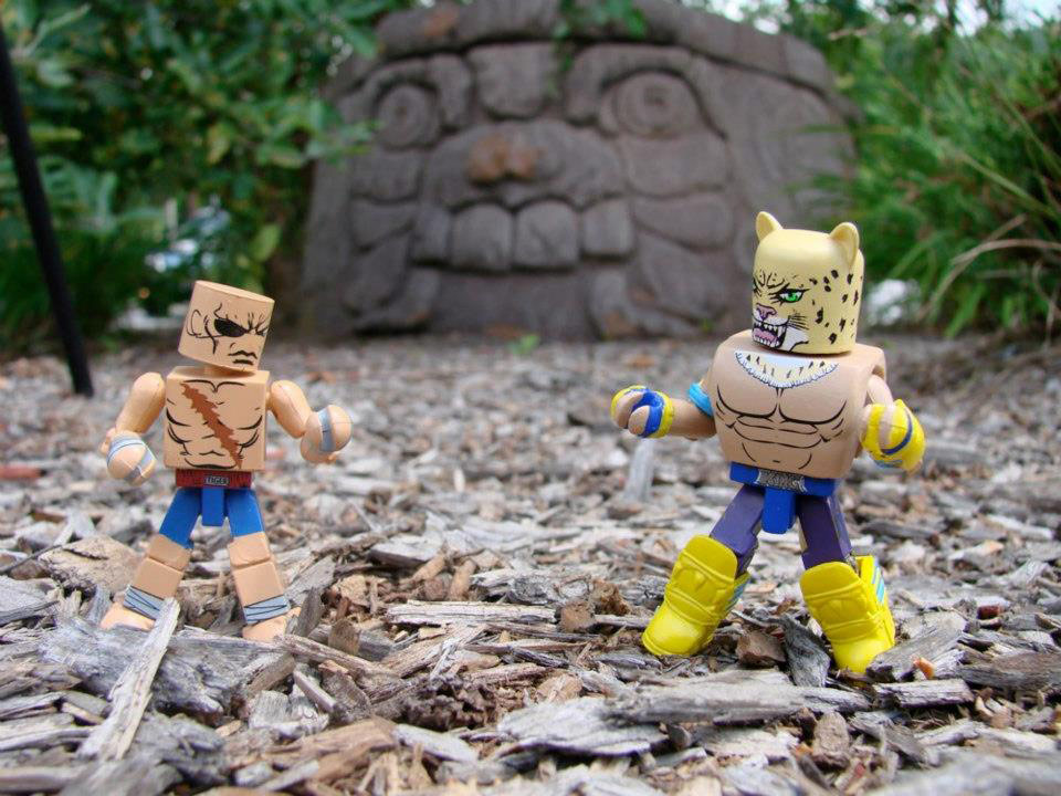Street Fighter X Tekken minimate images #08