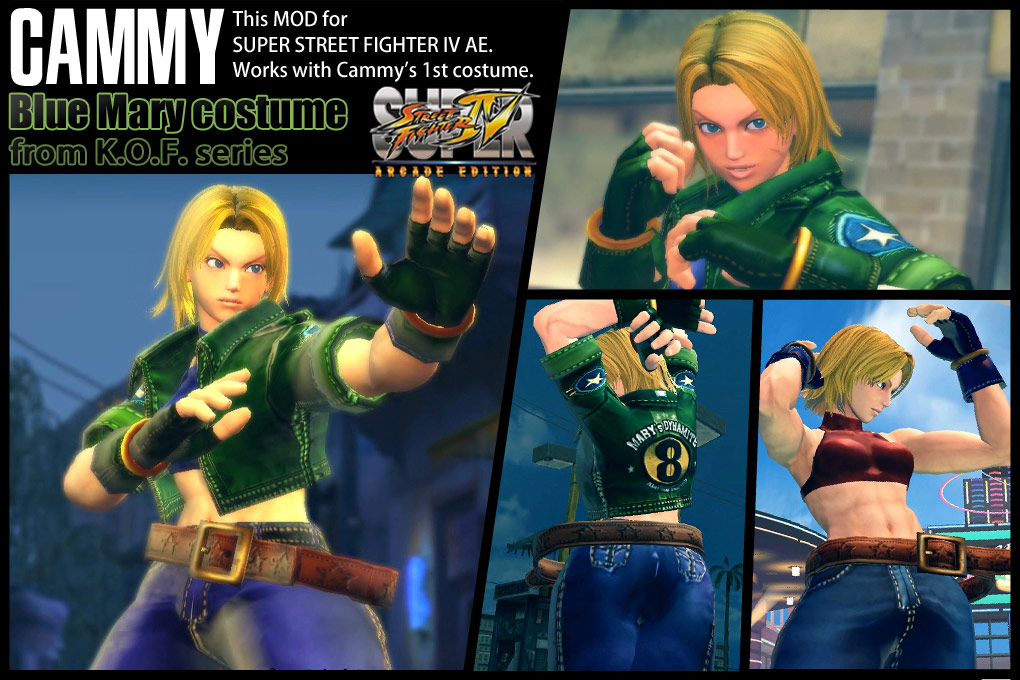 Blue Mary Super Street Fighter 4 Arcade Edition v2012 PC mod