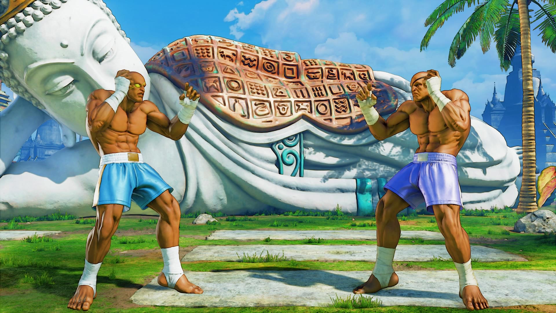 Sagat's classic costume colors in Street Fighter 5: Arcade Edition 5 ...