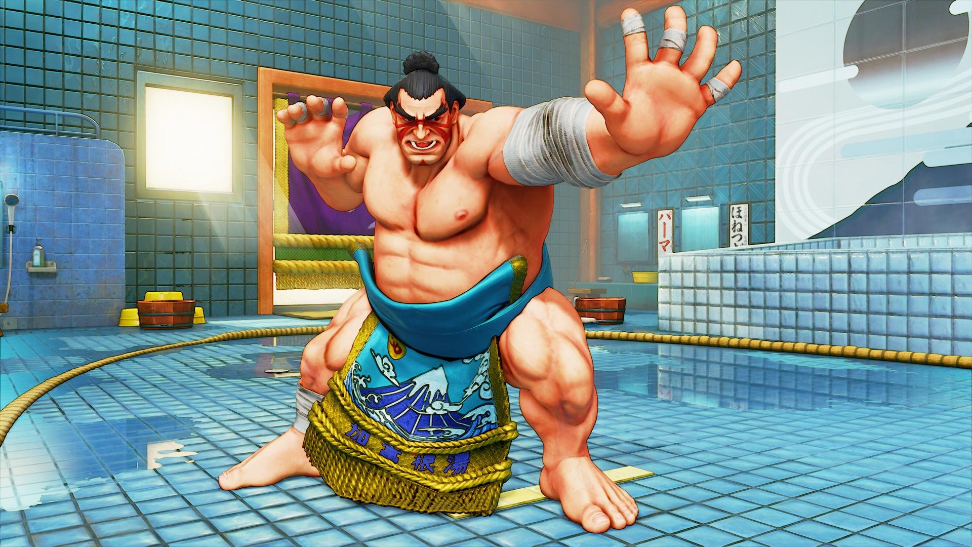 E. Honda, Poison, and Lucia in Street Fighter 5 5 out of 13 image gallery