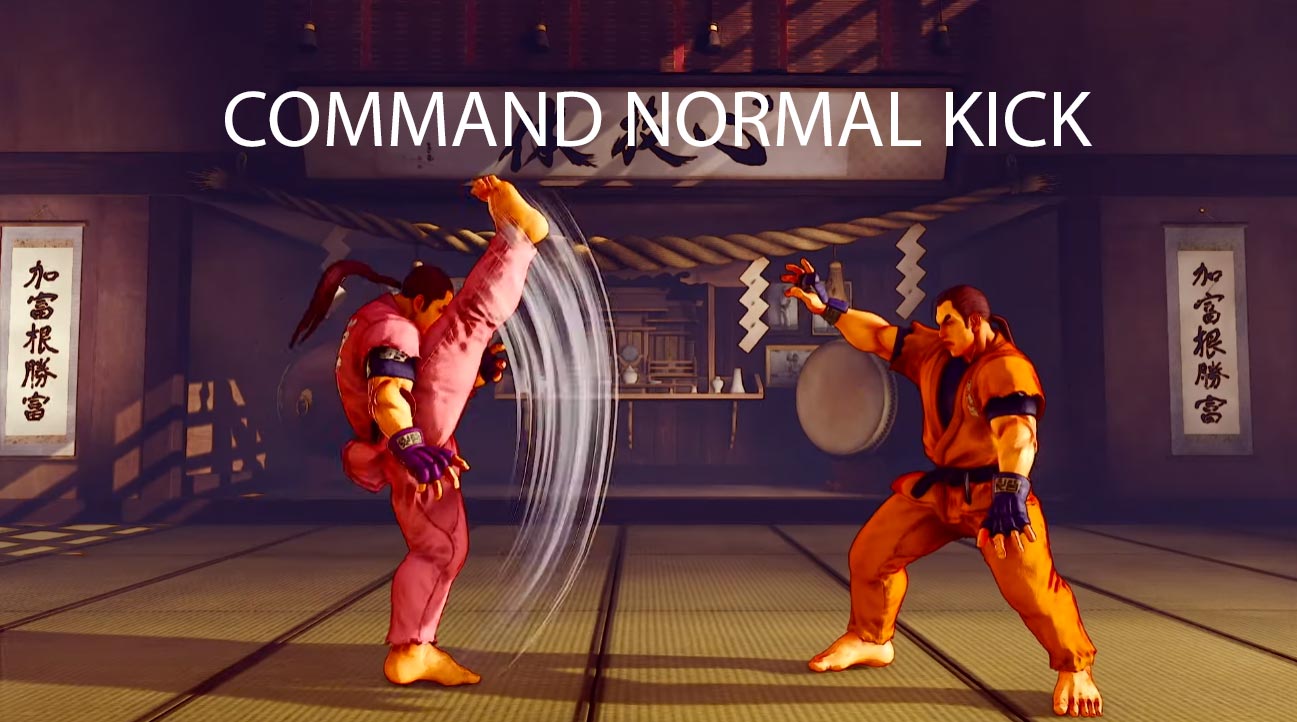 Dan SF5 gameplay 5 out of 9 image gallery