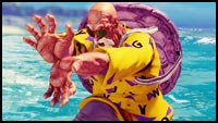 Turtle Hermit Oro 1 out of 6 image gallery