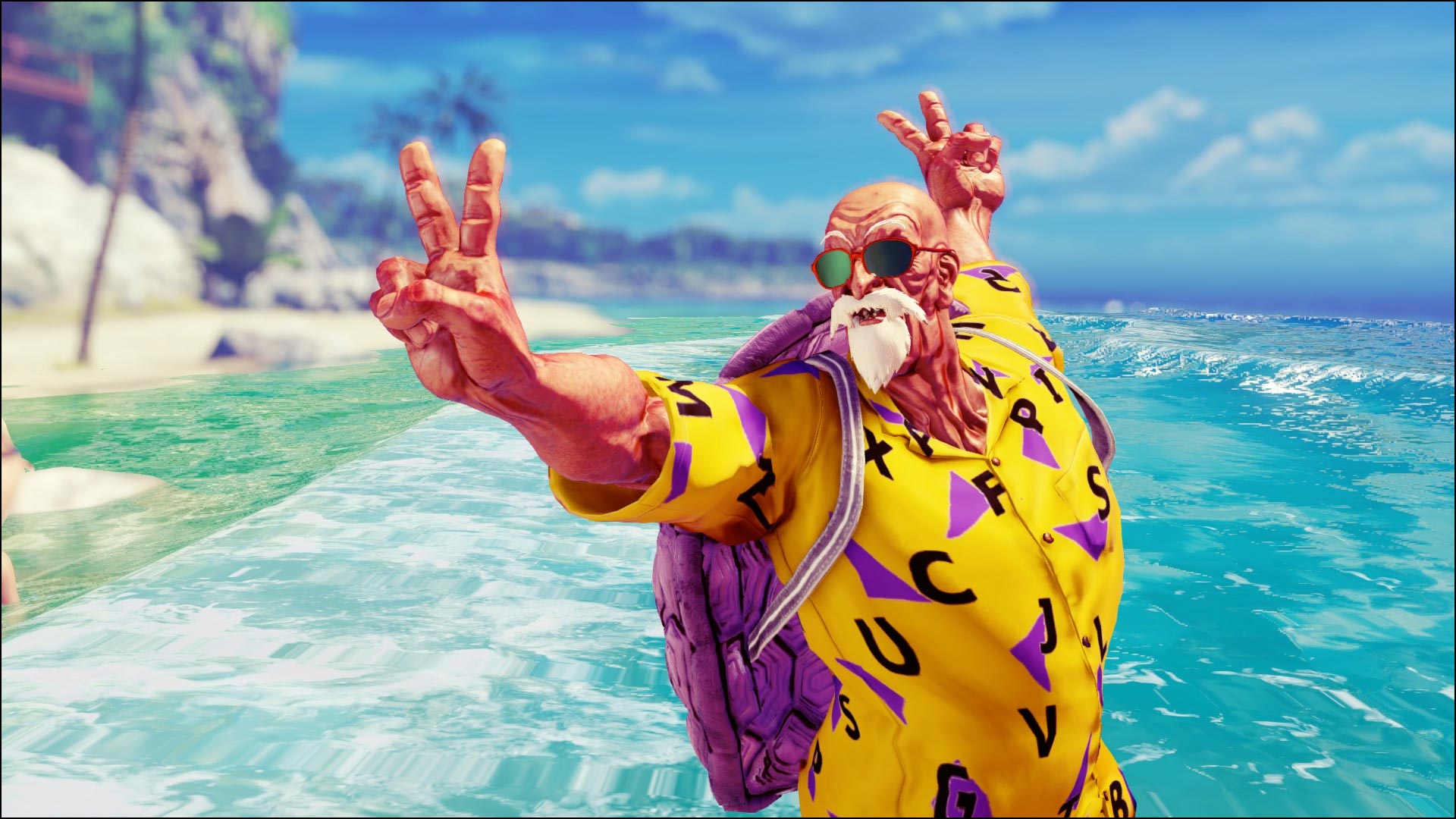 Turtle Hermit Oro 5 out of 6 image gallery