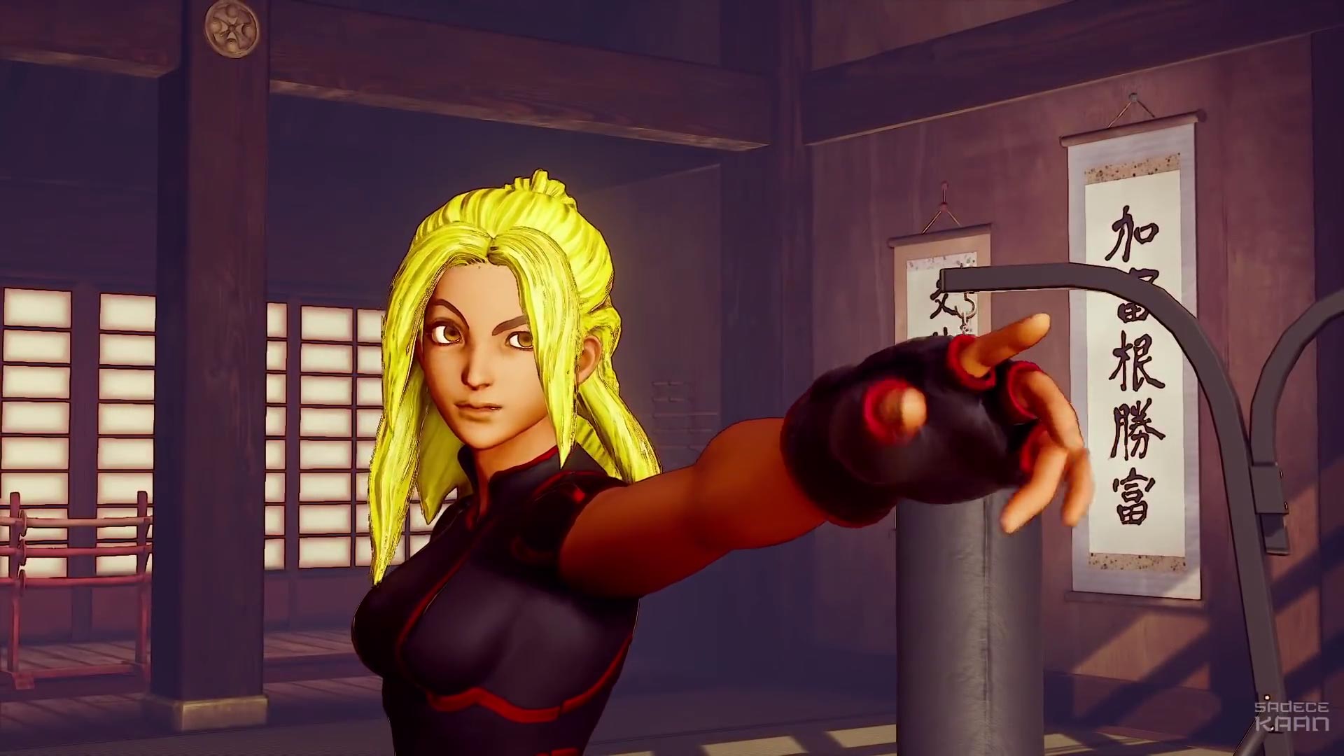 SF5 Midnight Bliss mods 16 out of 19 image gallery