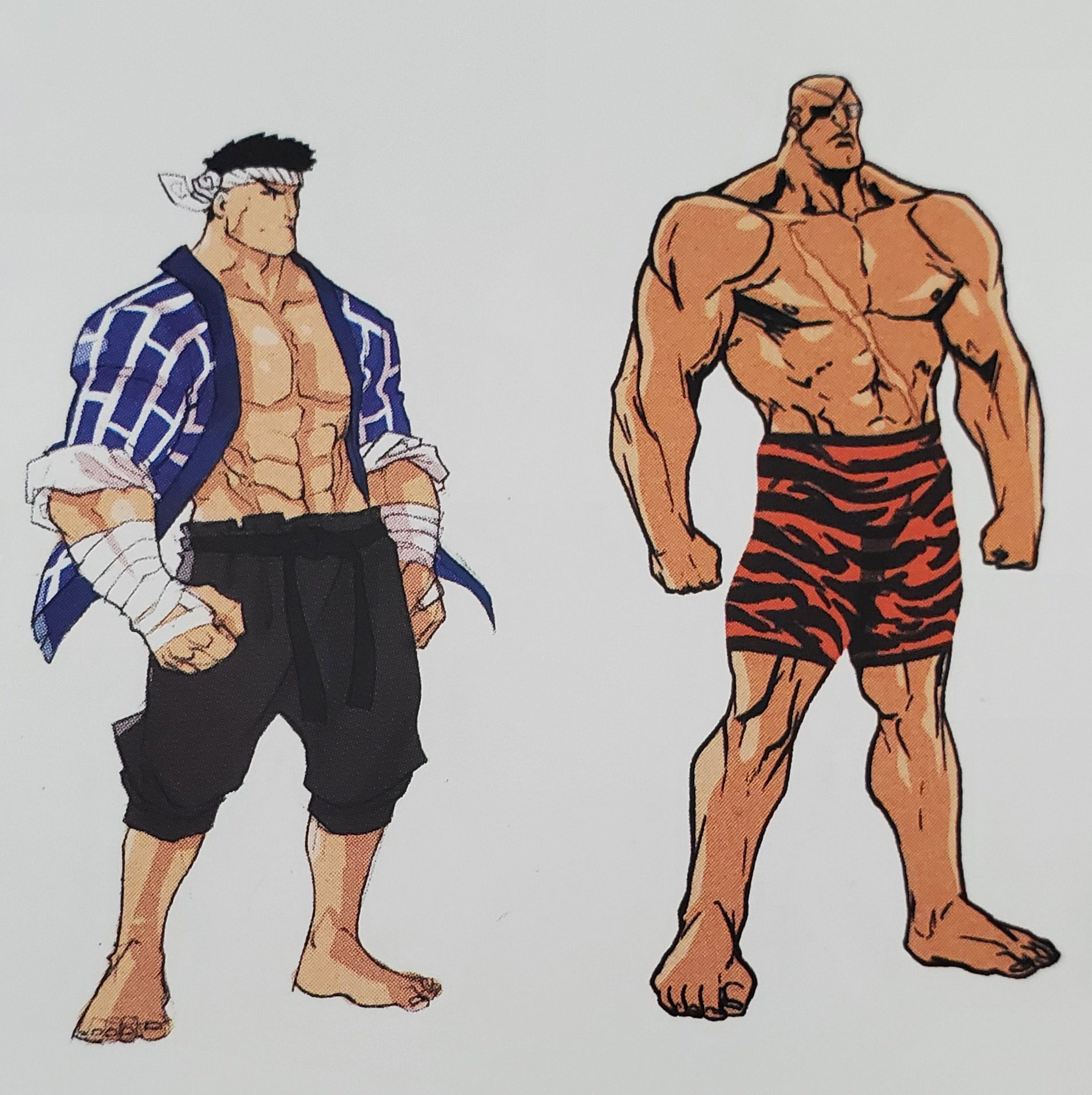 Unused SF4 Costume Art 14 out of 38 image gallery